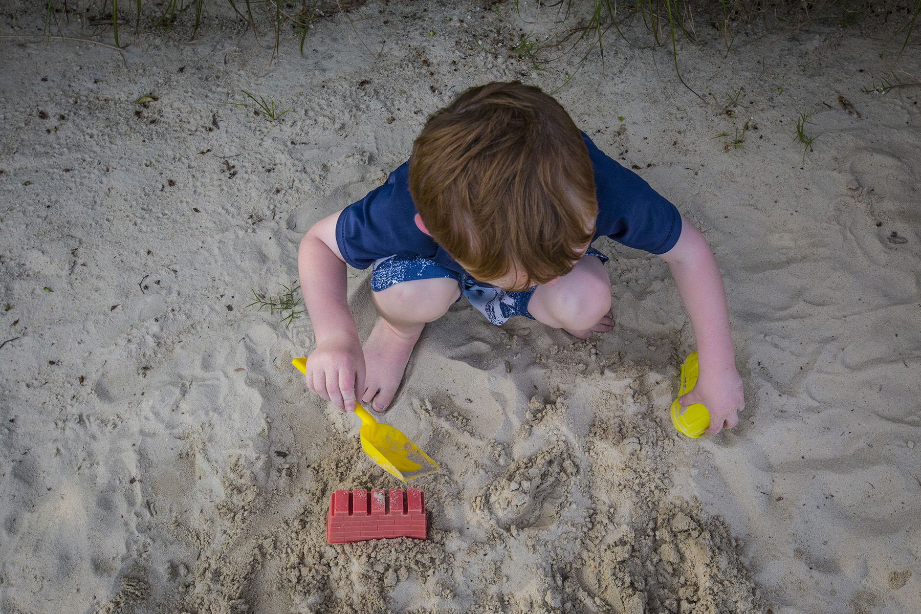Dino Dig - Children’s Museum of Memphis