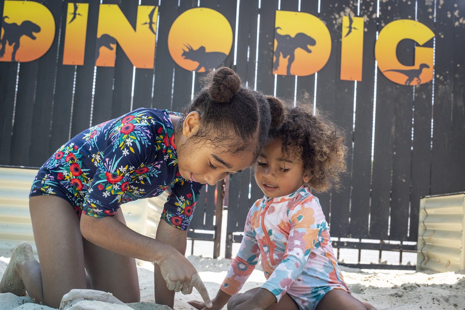 Dino Dig - Children’s Museum of Memphis